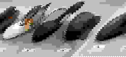 Vintage Hand Painted Wooden Duck Decoys (4) Auction