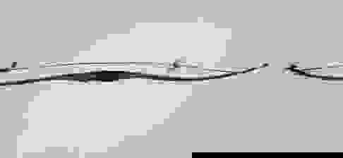 Tomahawk Diamond Series Woodland Hunter Long Bow Auction