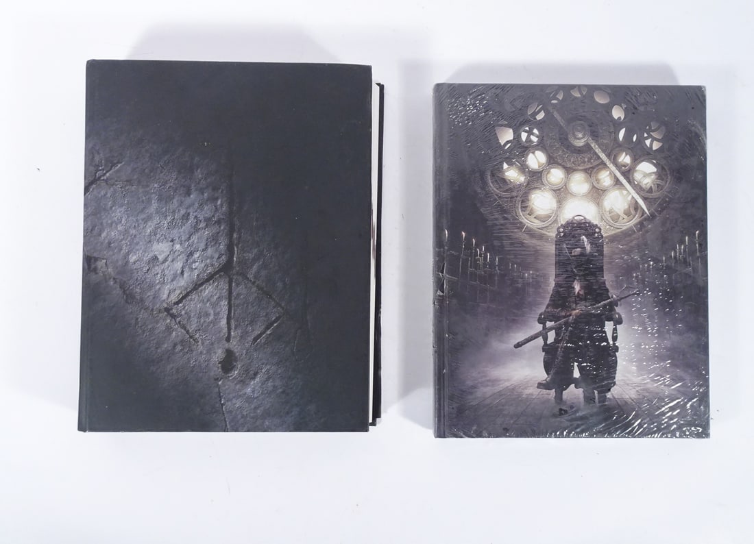 Bloodborne Fantasy Role Playing Books