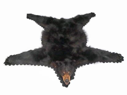 Taxidermy Full Hide Black Bear Skin Rug