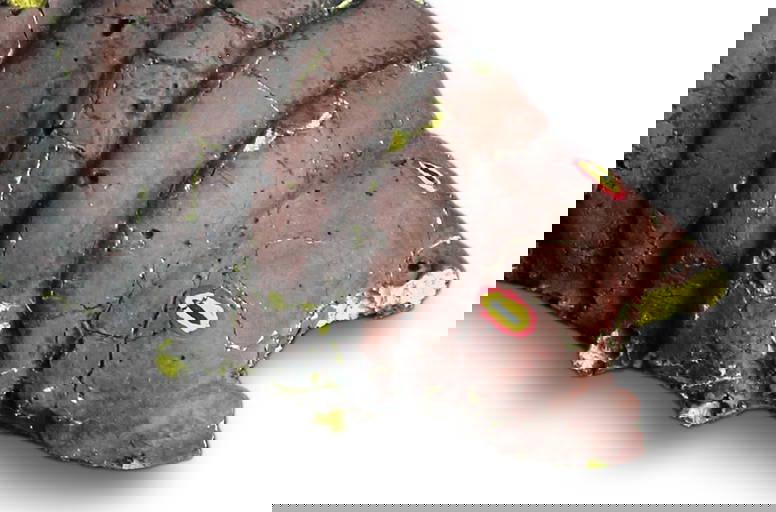 Ceti Eel Creature From “star Trek Ii; The Wrath Of Khan”