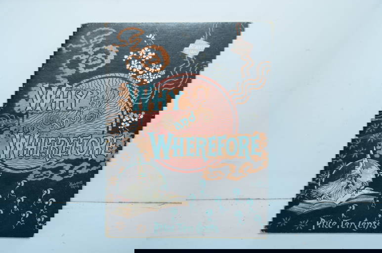 Chicago Milwaukee And St Paul Ry Why And Wherefore Book 1886