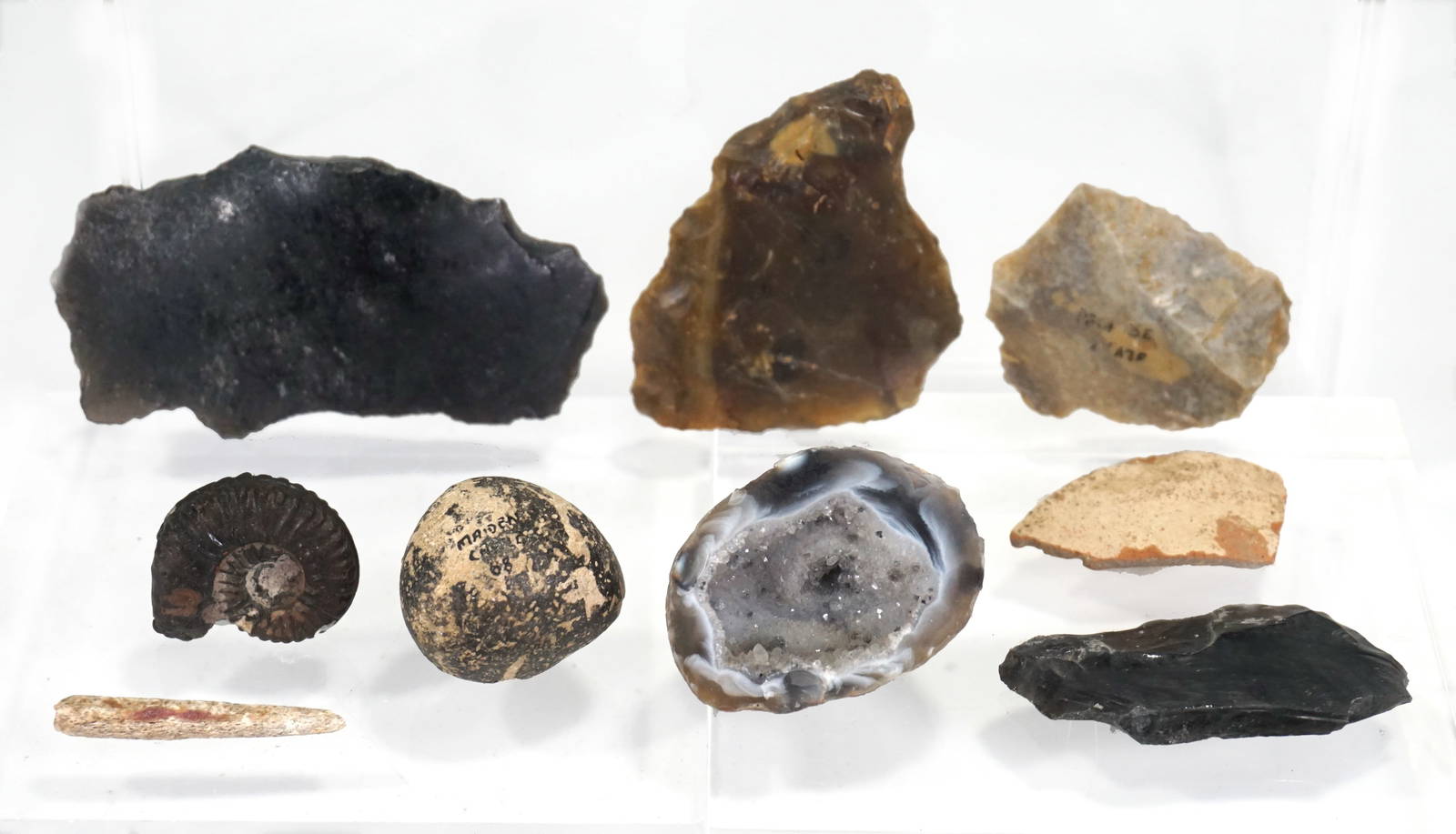 Group Of Prehistoric And Natural Specimens: Stone Tools, Fossils, And ...