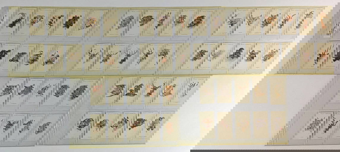 Wills's Wild Animals' Heads 1934. Cigarette Cards