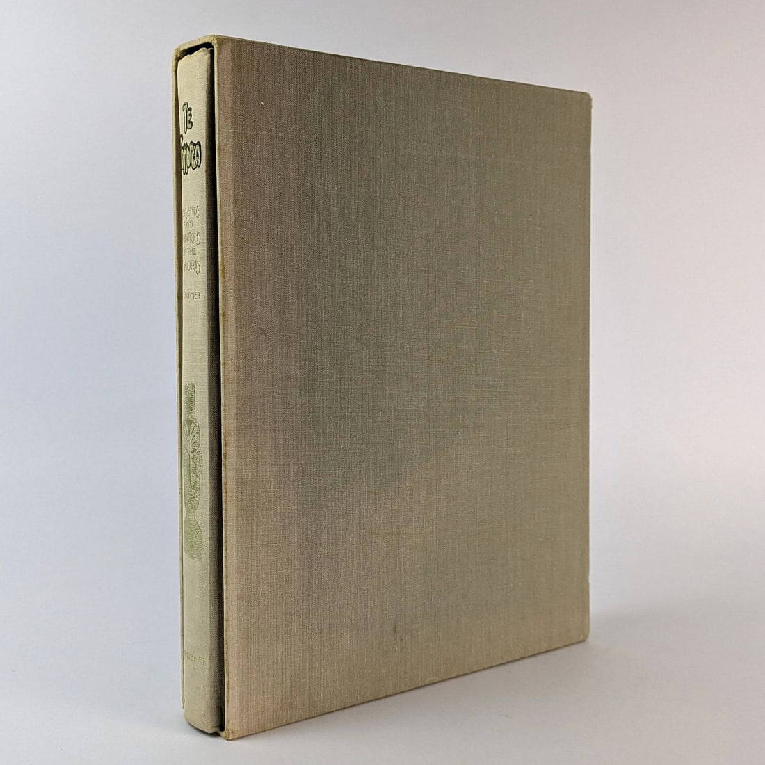 Te Tohunga: The Ancient Legends And Traditions Of The Maoris Auction