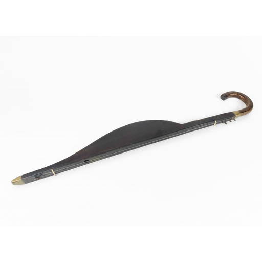 German 20th Century Cane With Three Stringed Musical Instrument