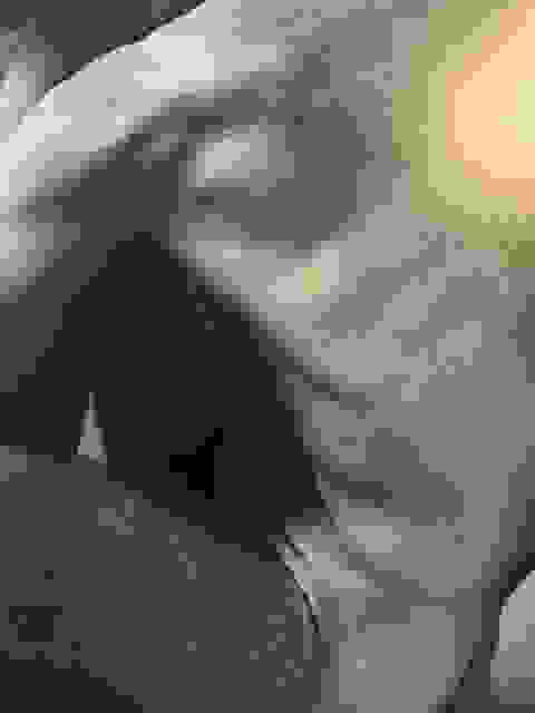 Ken Haak "untitled" Print. Auction