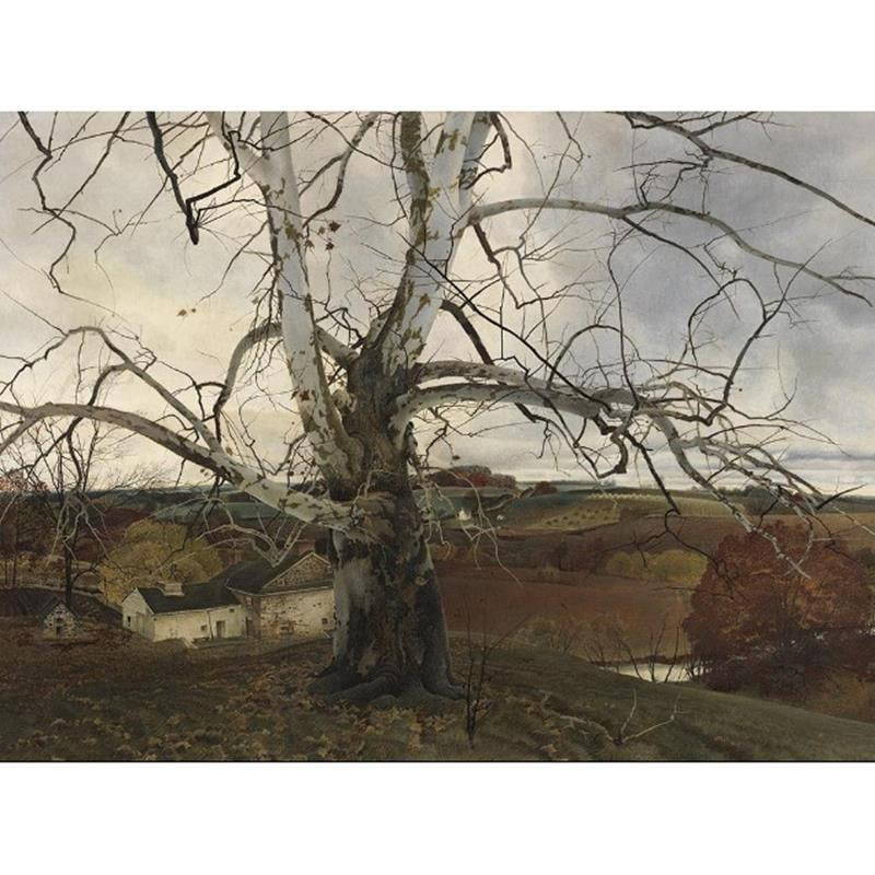 Andrew Wyeth Political Memorabilia for Sale at Auction