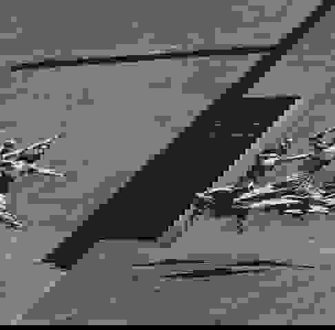 Imogen Cunningham "three Dancers, Mills College 1929" Print Auction