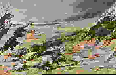 Julian Russell Story "the Black Prince At Crecy, 1888" Print Auction