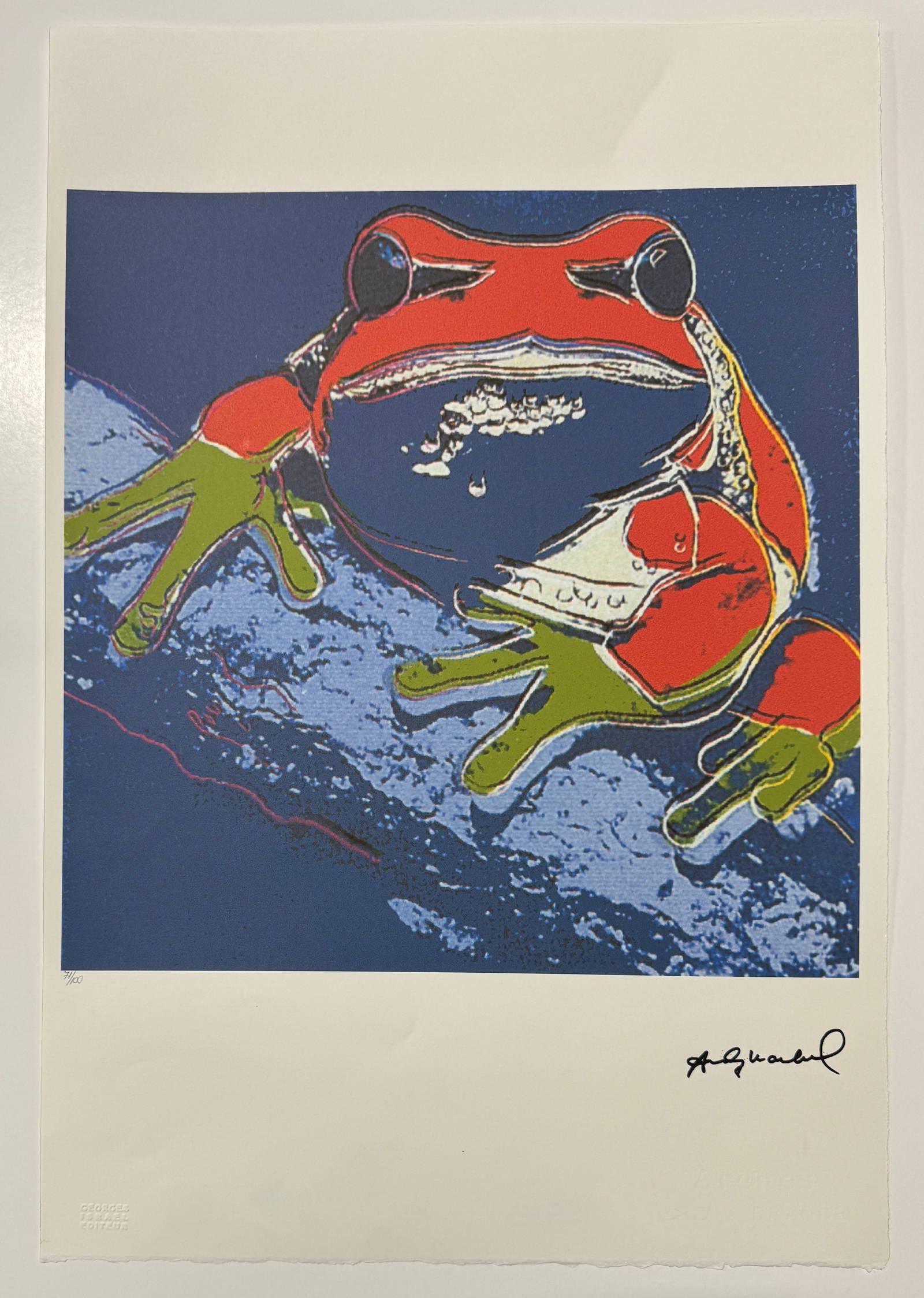 Andy Warhol "pine Barrens Tree Frog" From Endangered Species, Numbered ...