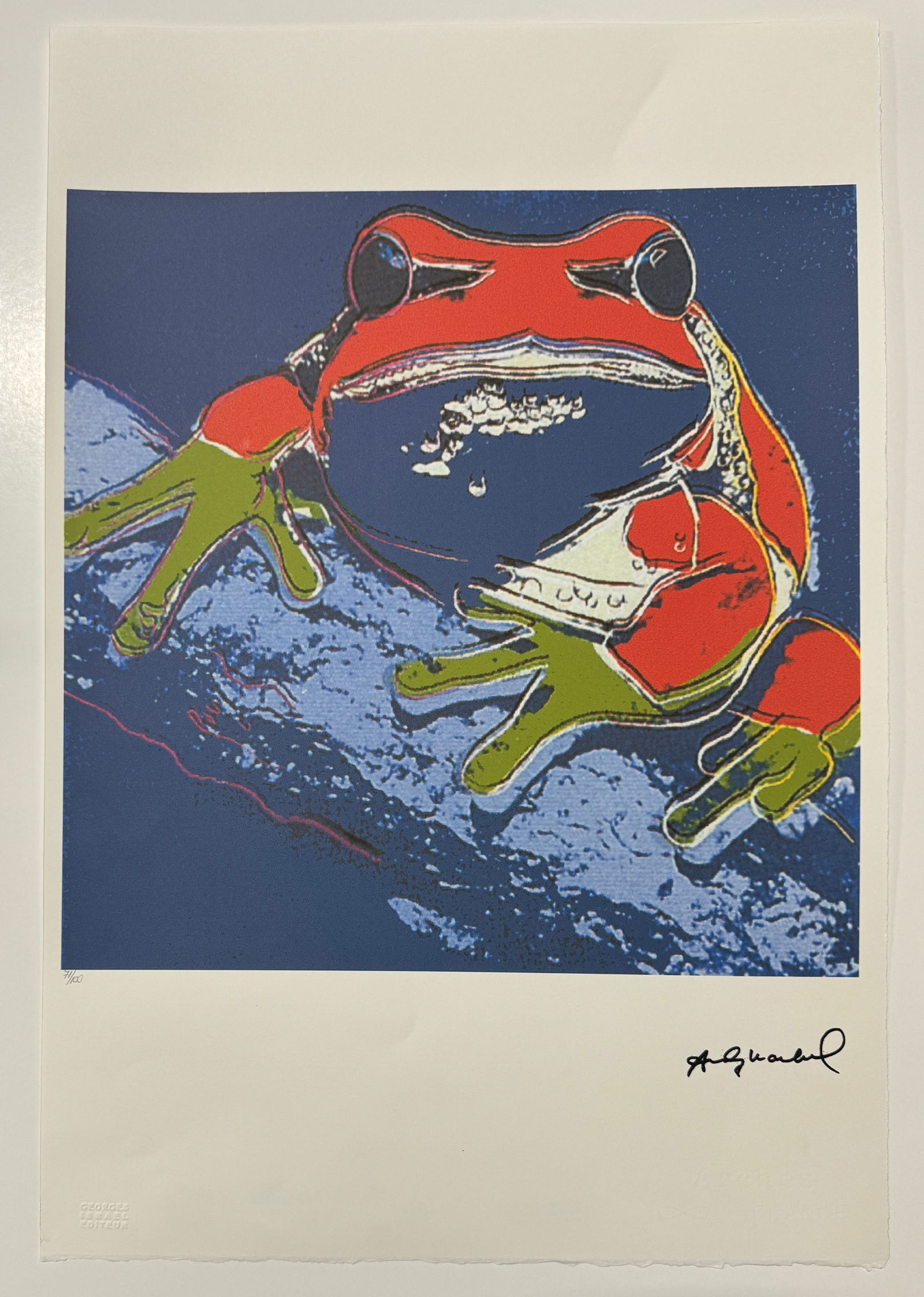 Andy Warhol "pine Barrens Tree Frog" From Endangered Species, Numbered ...