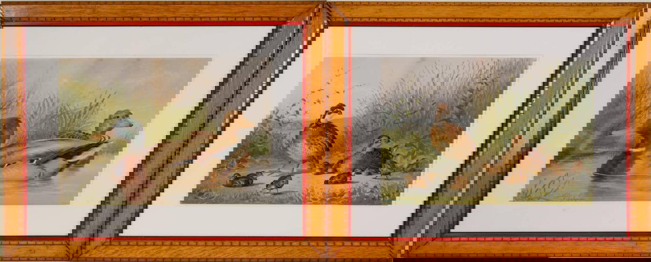 Alexander Pope, Jr. (1849 1924). Two Lithographs Of Birds.