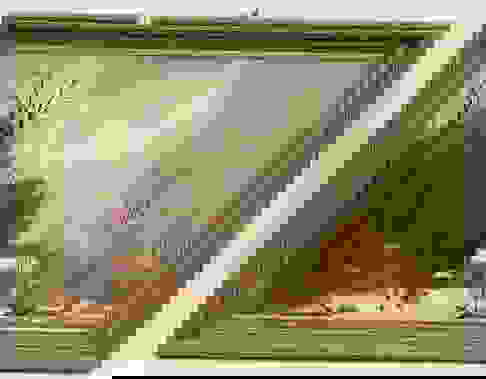 19thc Folk Art O/c Winter Scene Of A Homestead W Figures, Animals ...