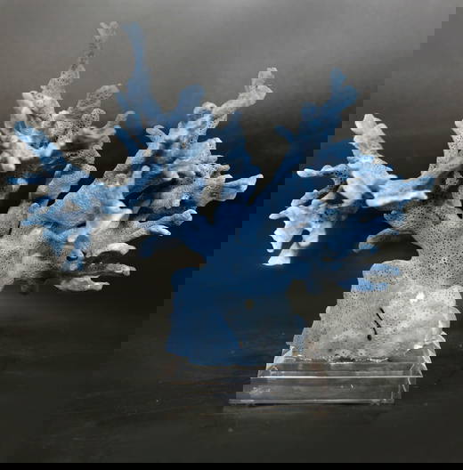 Collectible Rocks, Minerals & Fossils for Sale at Auction