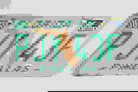 Florida Pinellas County License Plate Auction