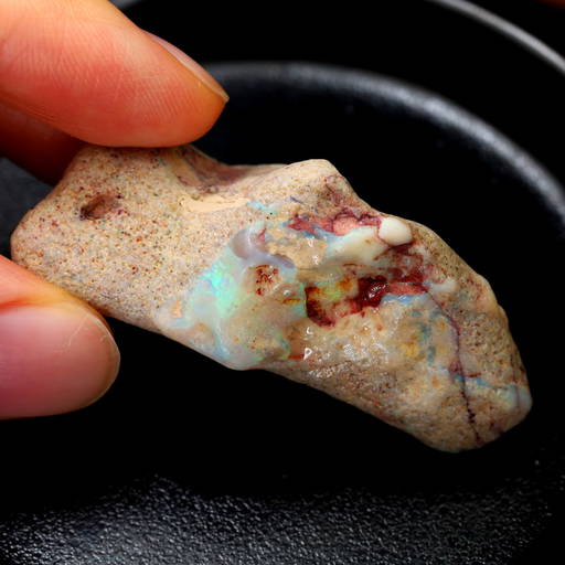 Rare Opal Fossil Lightning Ridge Fossilized Opal 78.28ct 47x24.8x16.5mm ...