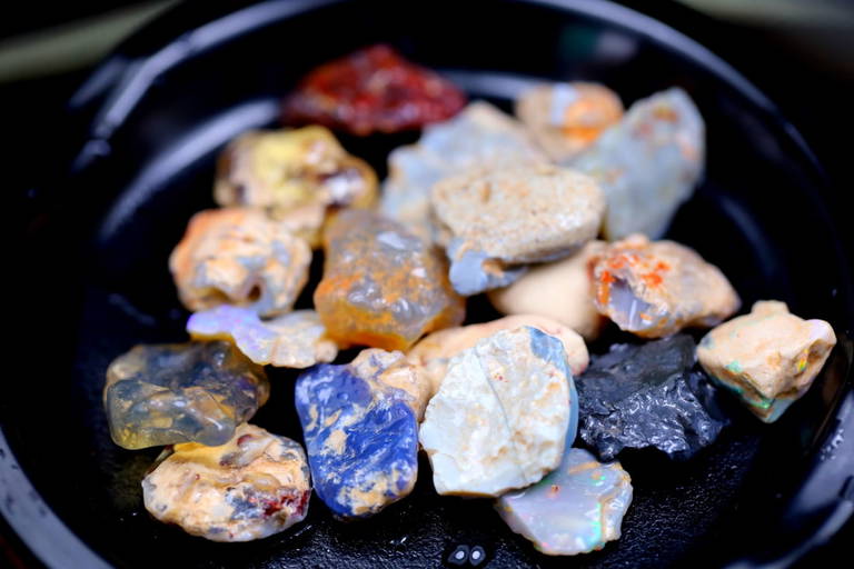 Rare Opal Fossil Lightning Ridge Fossilized Opal 96.62cts 16x14.4x5.6mm