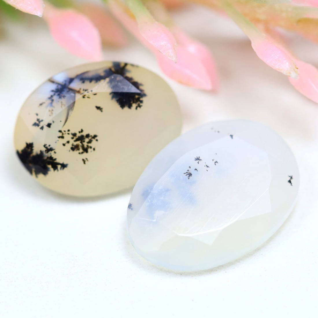 Collectible Rocks, Minerals & Fossils for Sale at Auction - Page 53