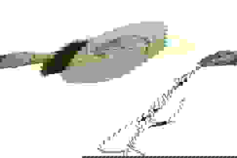 Ceremonial Native American Turtle Shell Rattle Auction