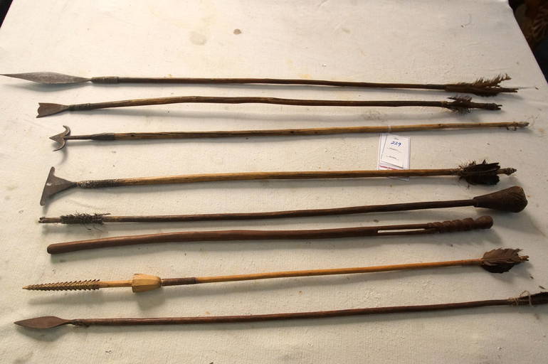 Collection Of Yanomami Indian Arrows