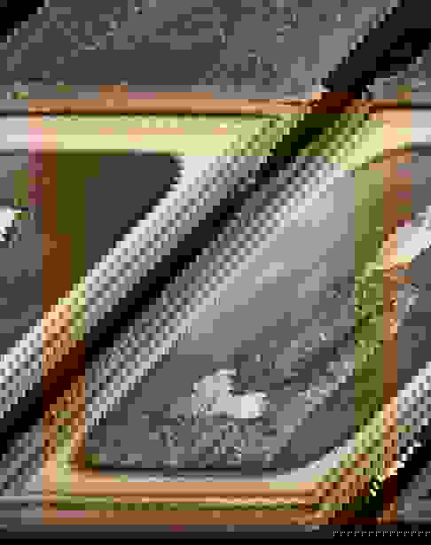 Zerelda Samuel Daguerreotype & Manuscripts Auction