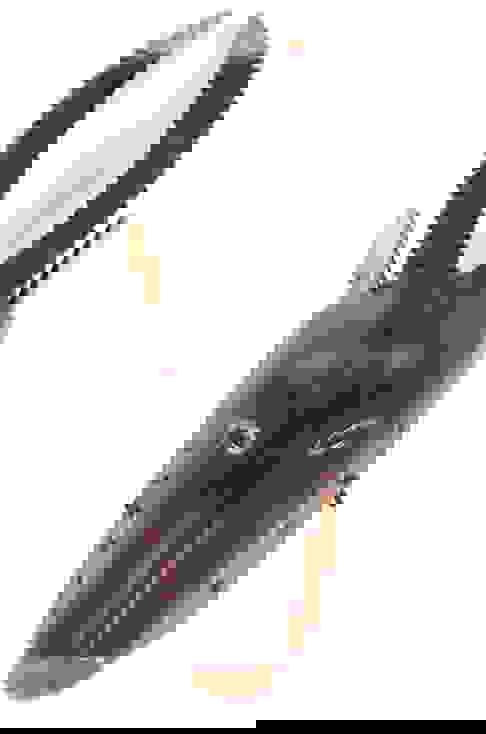 West African "antelope" Horned Mask Auction