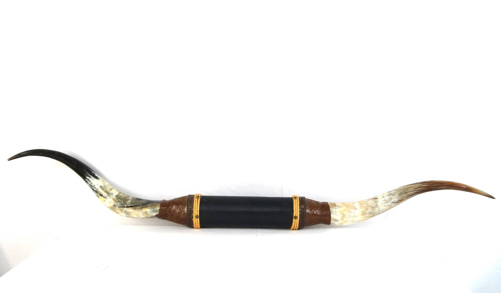 Mounted Texas Long Horns Auction