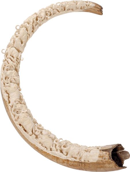 Rare Hand Carved Mastodon Ivory Mammoth Tusk