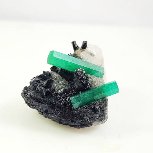 Collectible Rocks, Minerals & Fossils for Sale at Auction