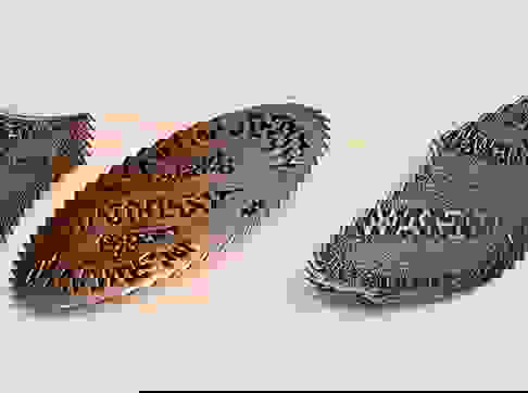 Lot Of 2 Forest Fire Warden Badges Auction