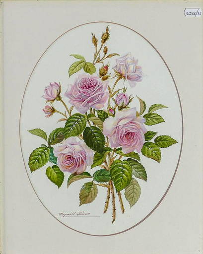Reginald Johnson Oval Watercolour Still Life Of Roses