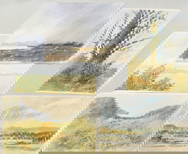 Doris Brown S.w.a (1933 2023) Five Landscapes And Forest Scenes ...