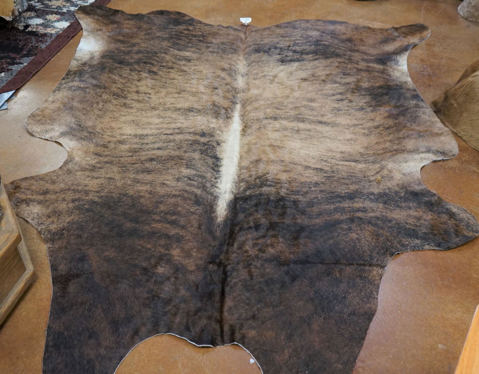 Brand New Large Brindle Bull Soft Tanned Backskin Rug Taxidermy Mount ...