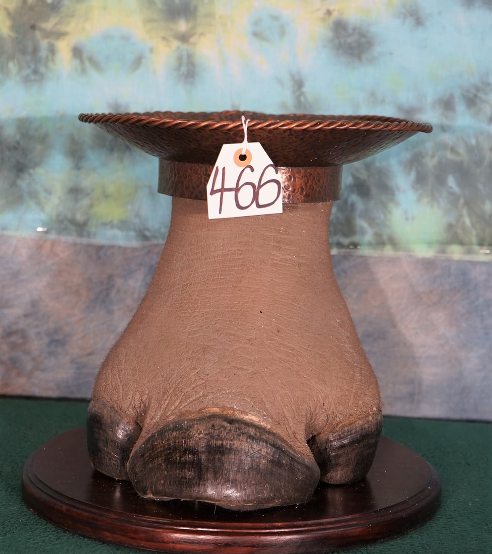 African Southern White Rhino Foot Candy Dish Taxidermy **u.s. Residents ...