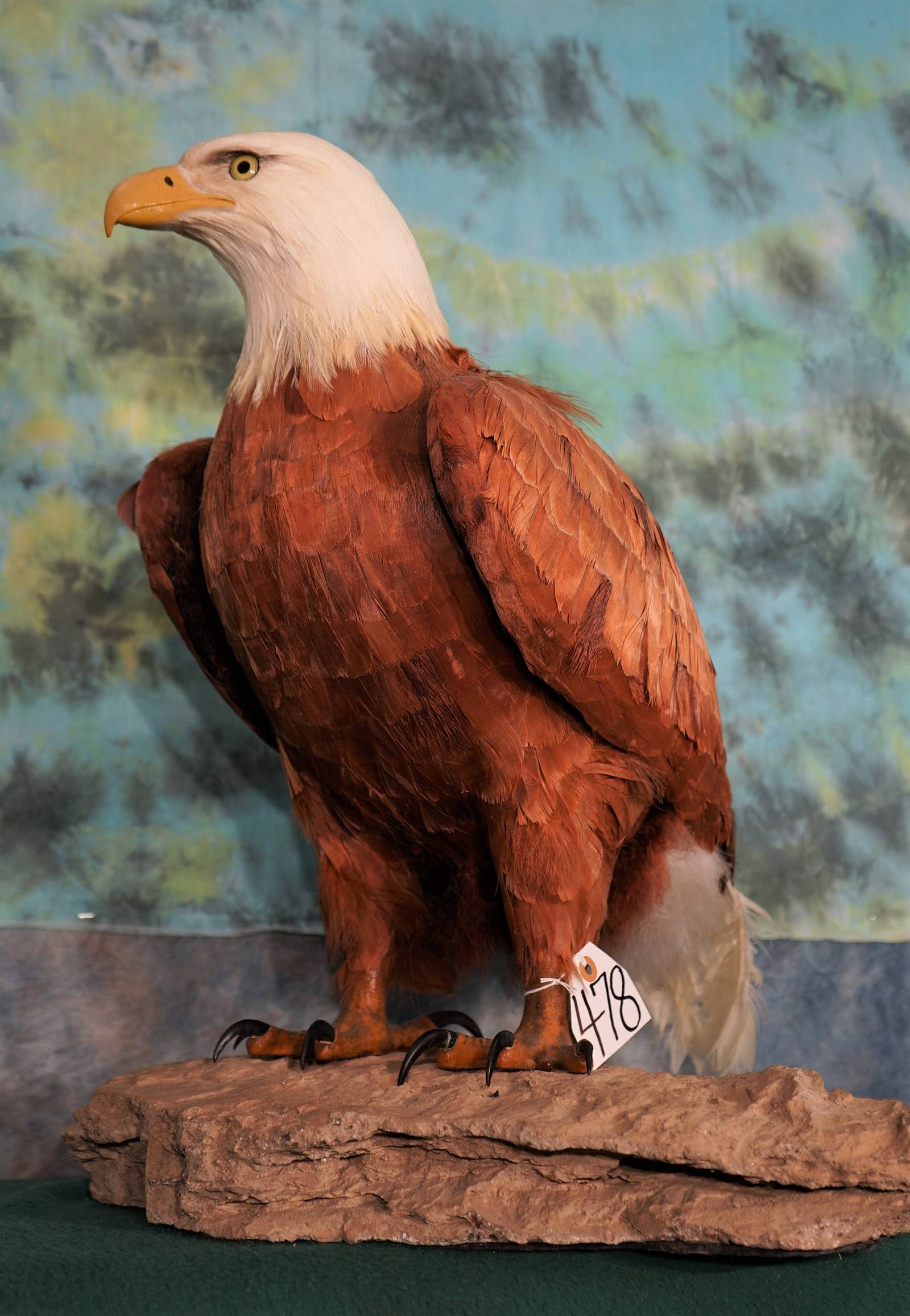Awesome! American Bald Eagle (reproduction Made From Chicken Feathers ...