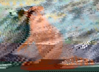 Raccoon Full Body Wall Mount