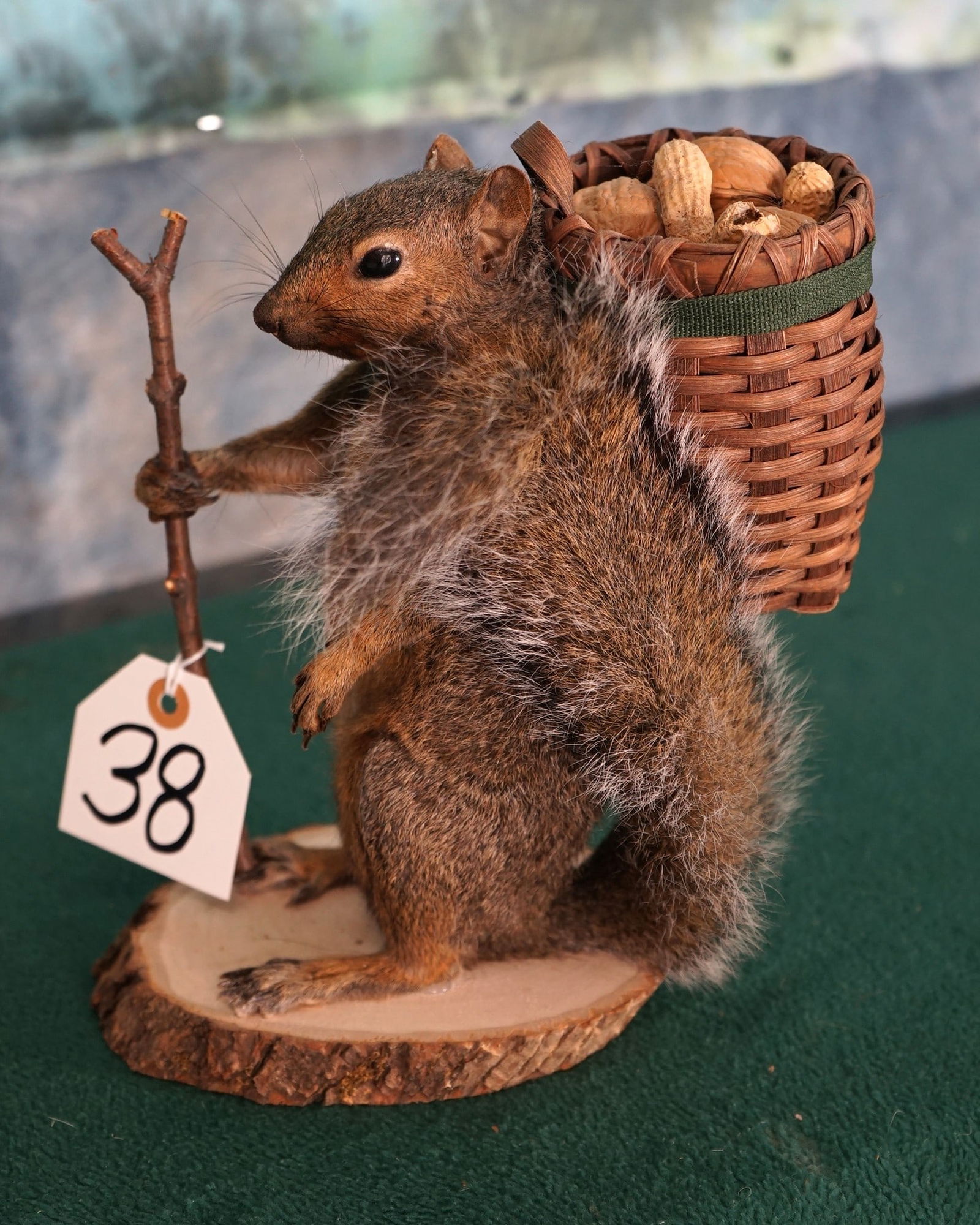 Brand New Novelty Taxidermy Squirrel Mount Auction