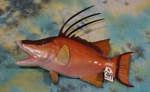 Beautiful Brand New! Monster Dorado 6ft. 2/12" Fiberglass Reproduction ...