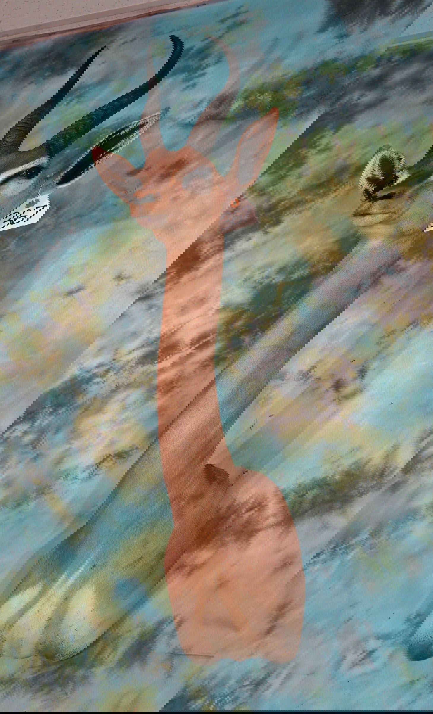 African Gerenuk Gazelle Shoulder Mount Taxidermy Auction