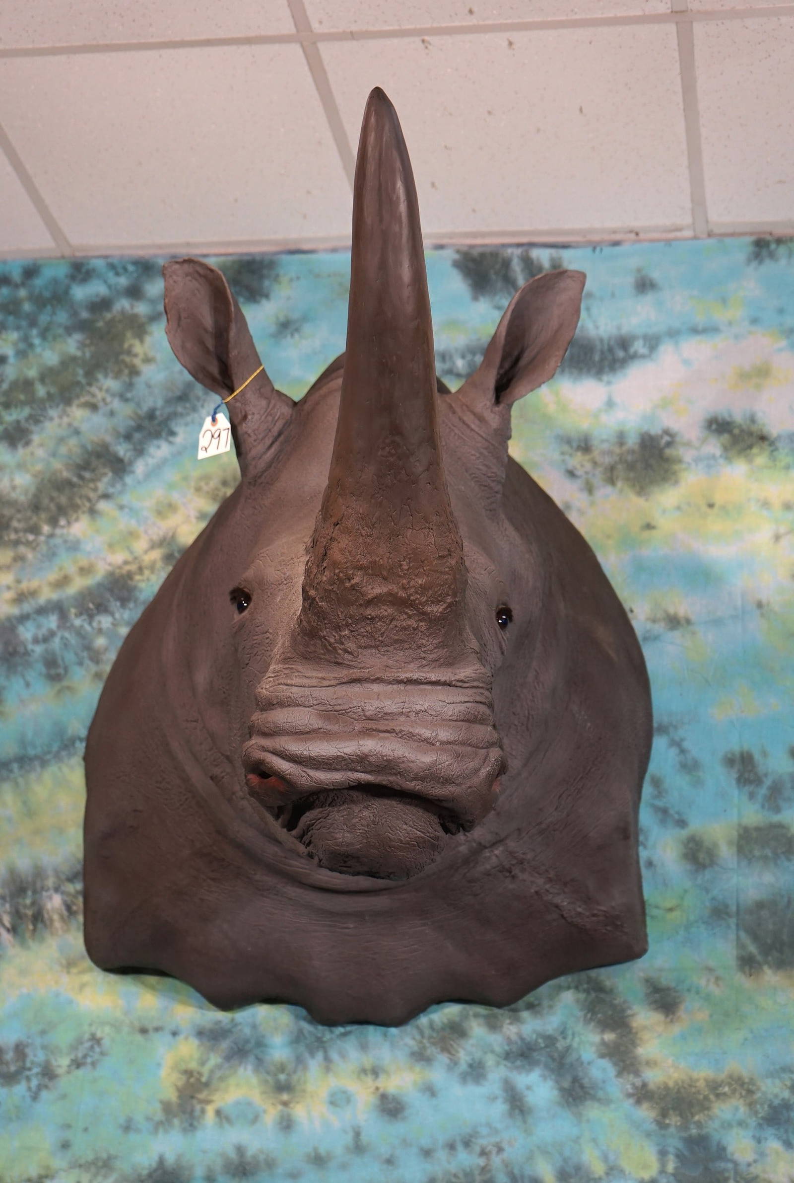 African Southern White Rhino Shoulder Reproduction Taxidermy Mount Auction
