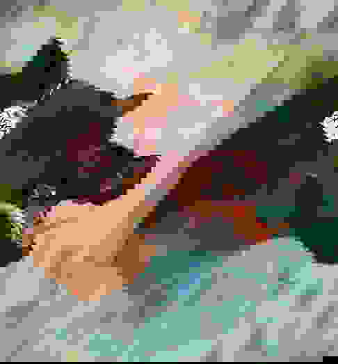 Wild Boar Or "feral Hog" Shoulder Taxidermy Mount Auction