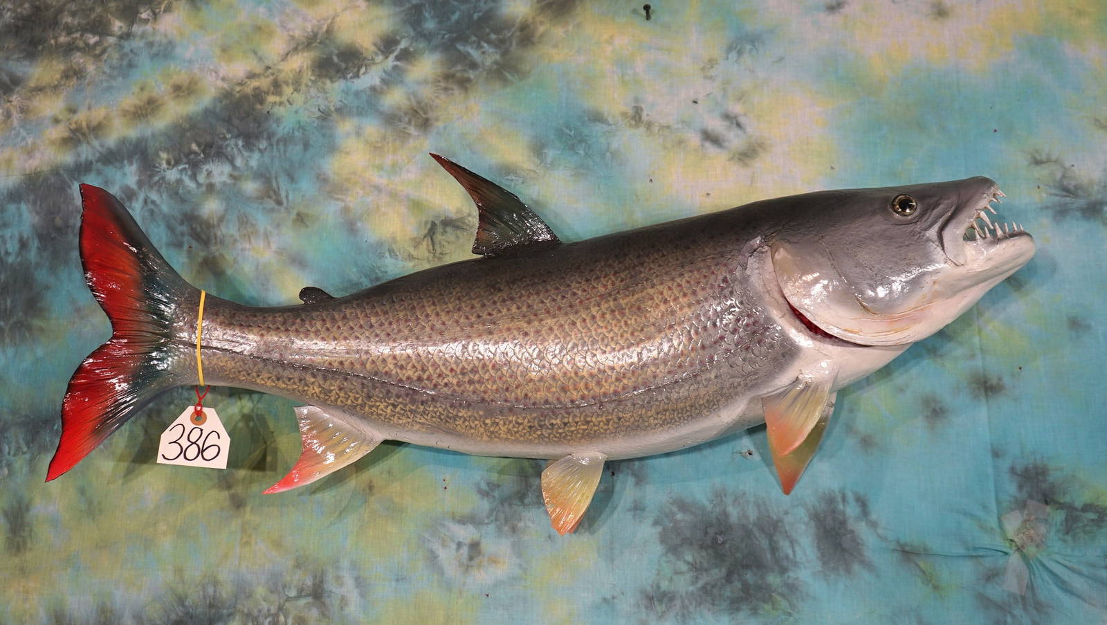 34" African Tiger Fish Fiberglass Reproduction Taxidermy Fish Mount Auction