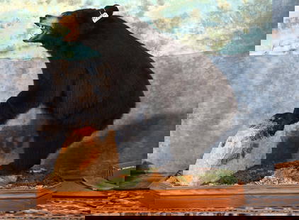 Large Full Body Black Bear Taxidermy Mount Auction