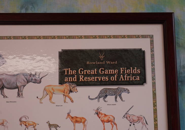 Framed Print From Rowland And Ward Of "africa's Big Game Animals"