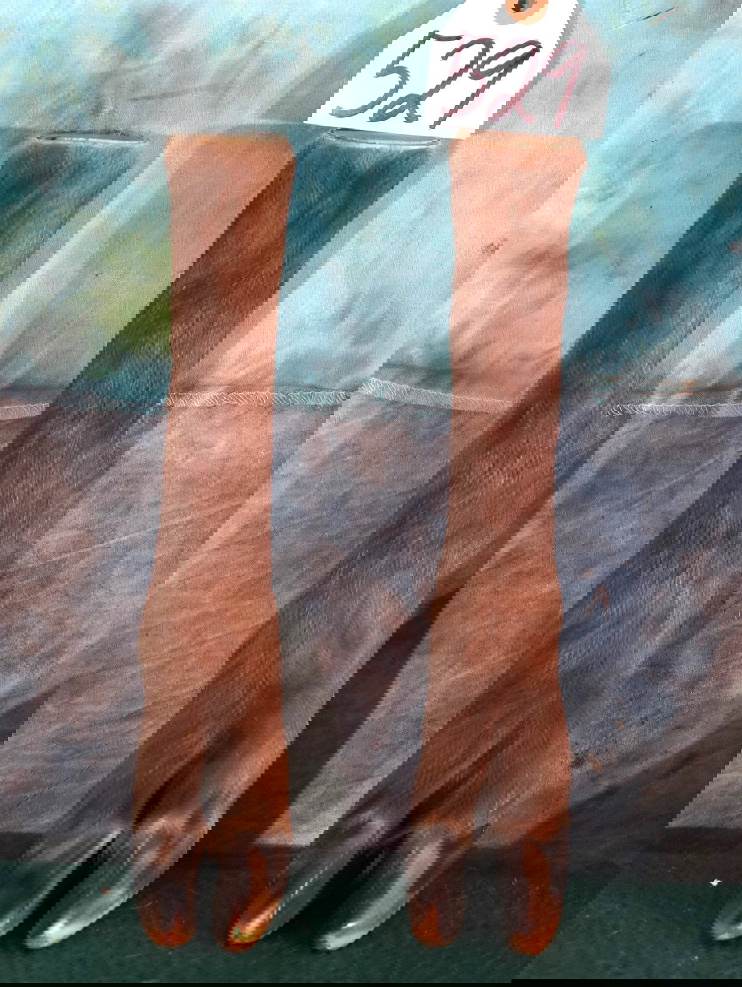 (4) Rocky Mountain Big Sheep Mounted Legs Taxidermy Auction