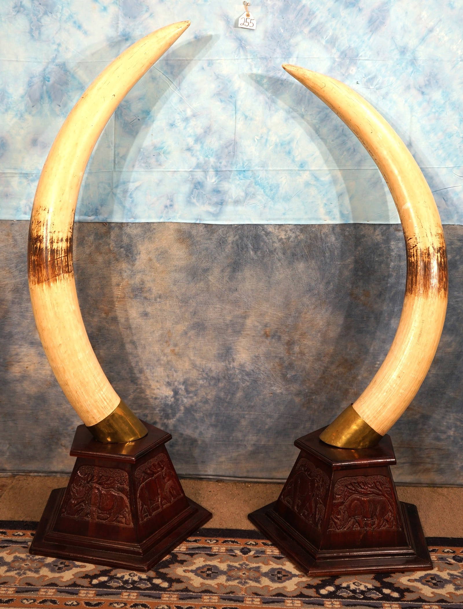 Very Nice Reproduction Set Of African Elephant Tusk Taxidermy Auction