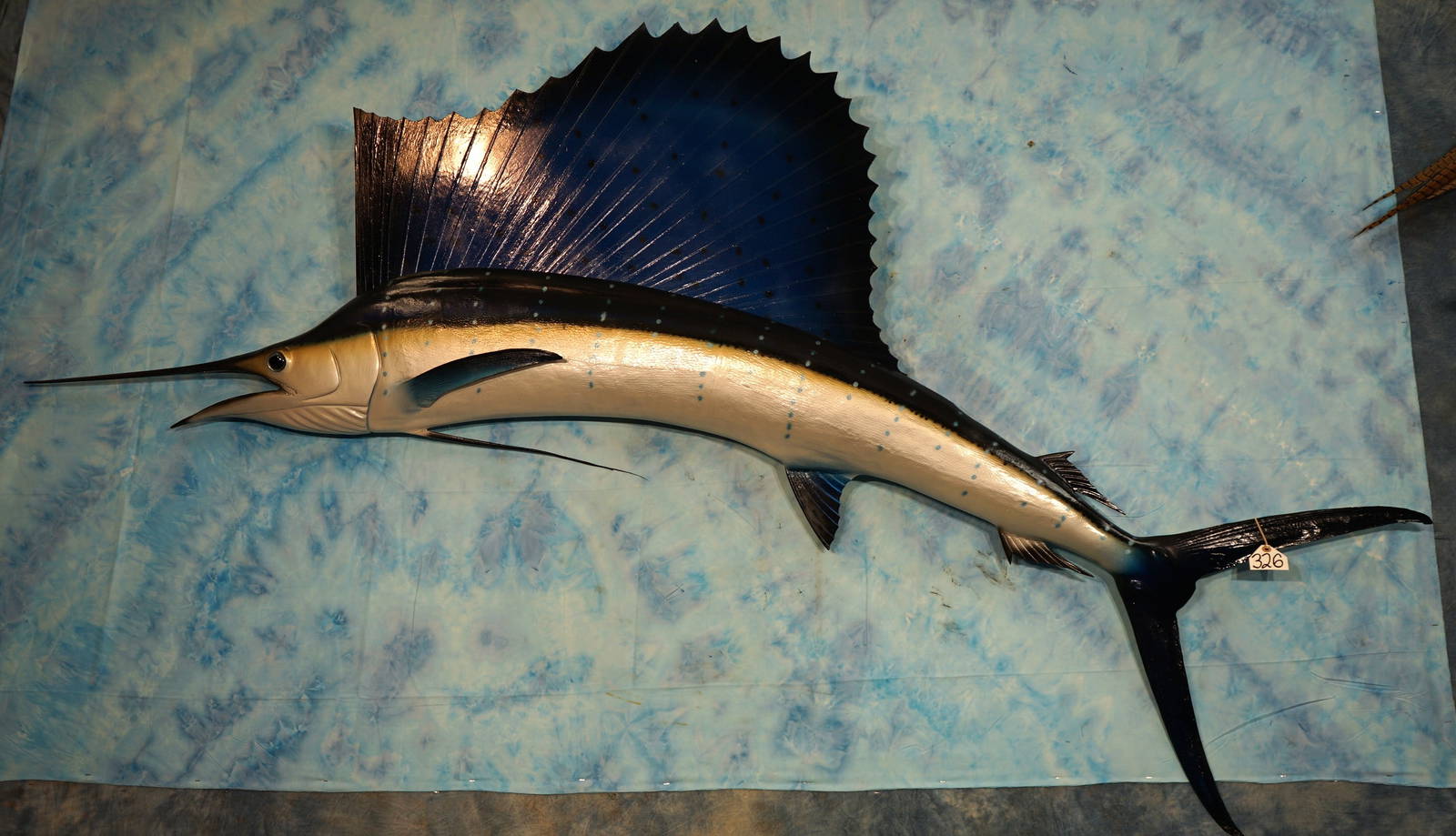Beautiful 103" Pacific Sailfish Saltwater Fiberglass Reproduction ...