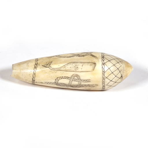 Scrimshaw Carved Whale Tooth