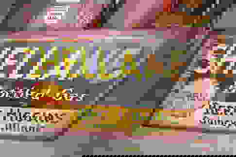 Shellane Sign - Mar 02, 2024 | Dark Horse Auctions In Al